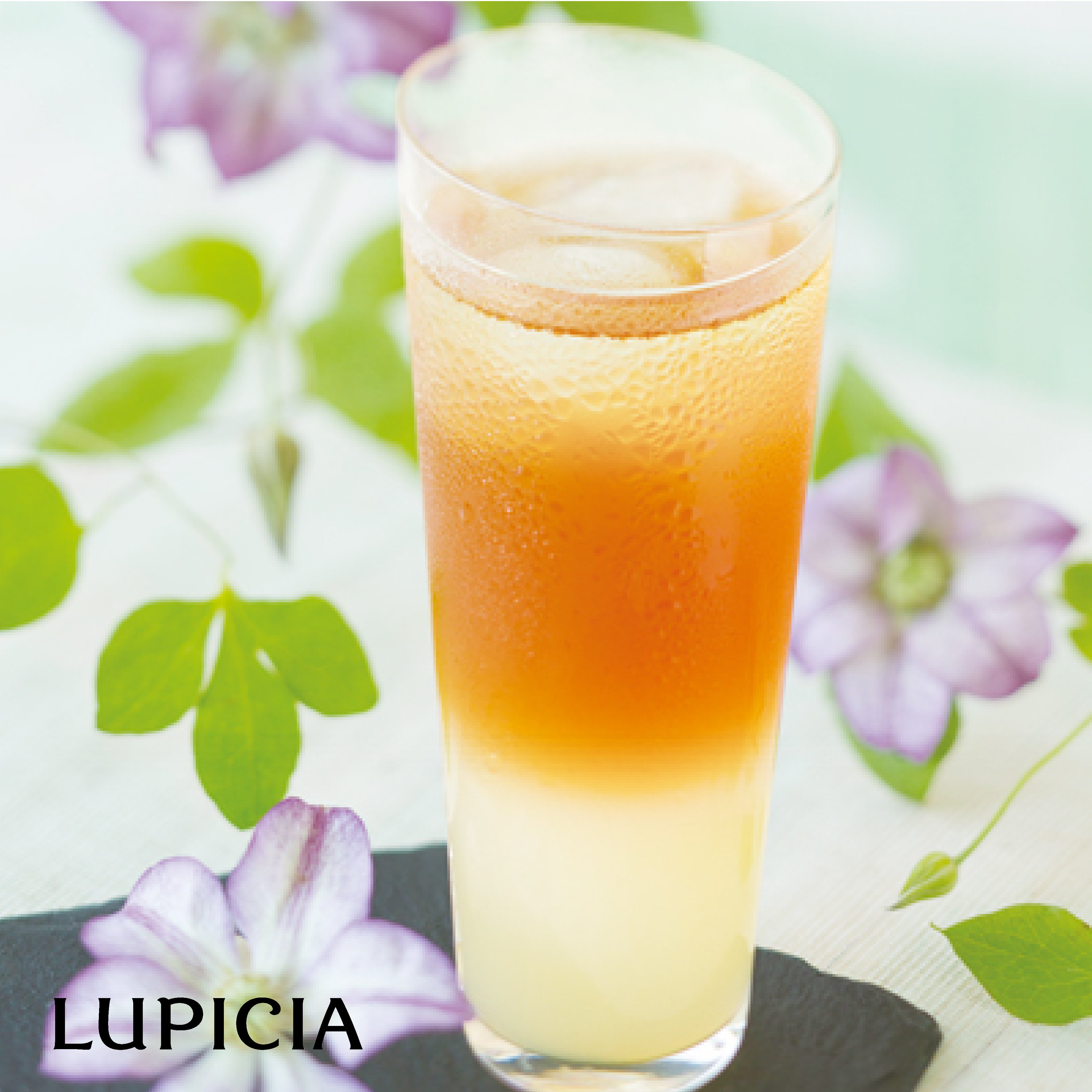 Black Tea – LUPICIA HAWAII Online Store